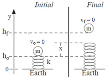 Solved A 2 kg ball (not moving) is on a spring compressed a | Chegg.com