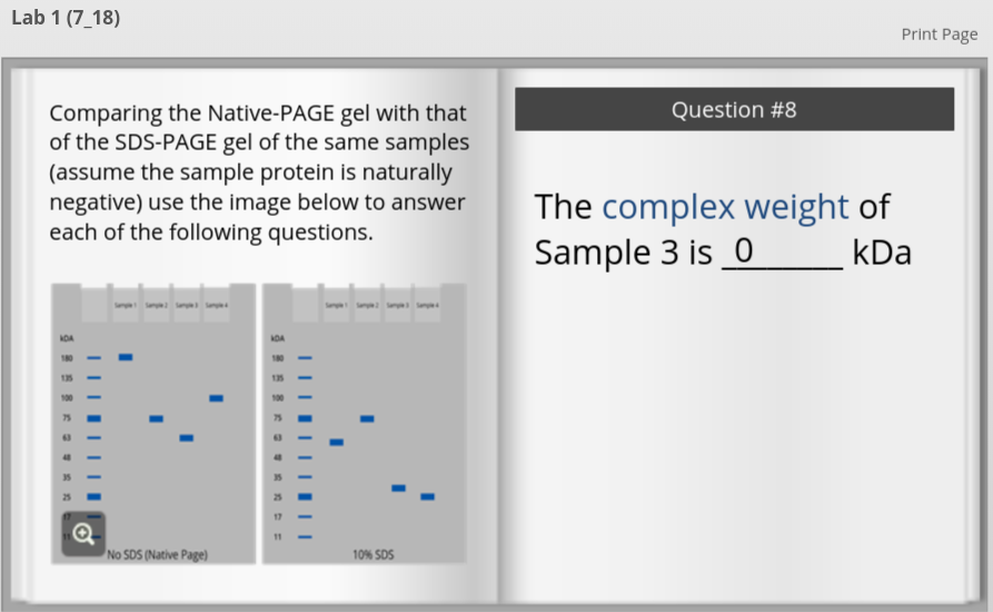 Solved Question #4 Comparing the Native-PAGE gel with that | Chegg.com