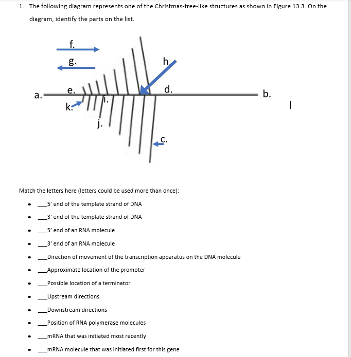 Solved 1. The following diagram represents one of the | Chegg.com