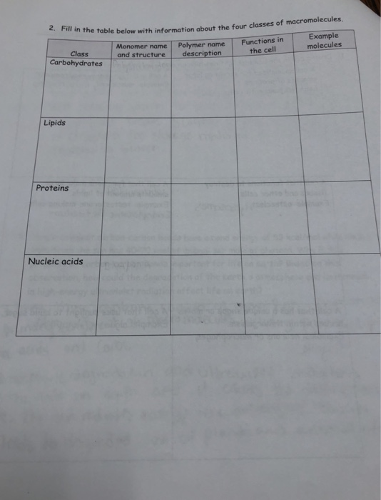 Solved 2. Fill in the table bel ow with information about | Chegg.com