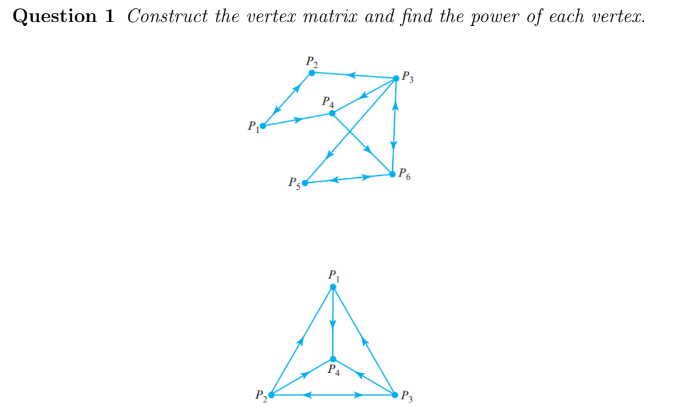 Solved Question 1 Construct the vertex matrix and find the | Chegg.com