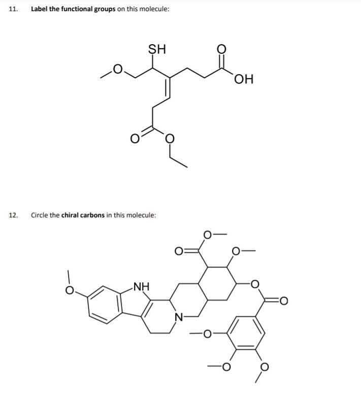 Solved 11. Label the functional groups on this molecule: SH | Chegg.com