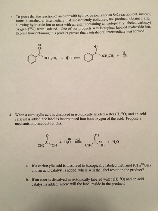 Solved Acyl chlorides react with amines to form amides | Chegg.com