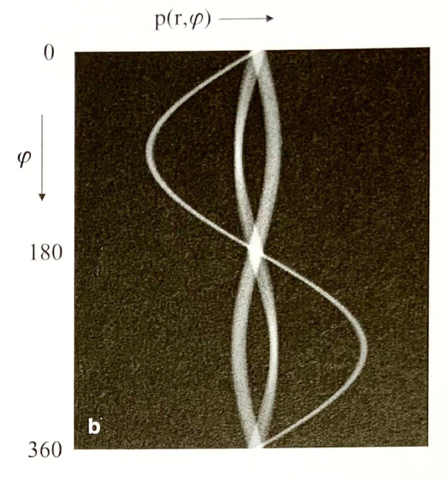 Solved For the sinogram in Figure 2.45(b), draw an image | Chegg.com