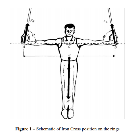 Solved: QUESTION 1 Figure 1 Shows A Gymnast, Weighing 70 K... | Chegg.com