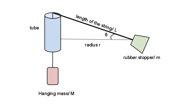 Solved Centripetal Force (goal: finding g by observing the | Chegg.com