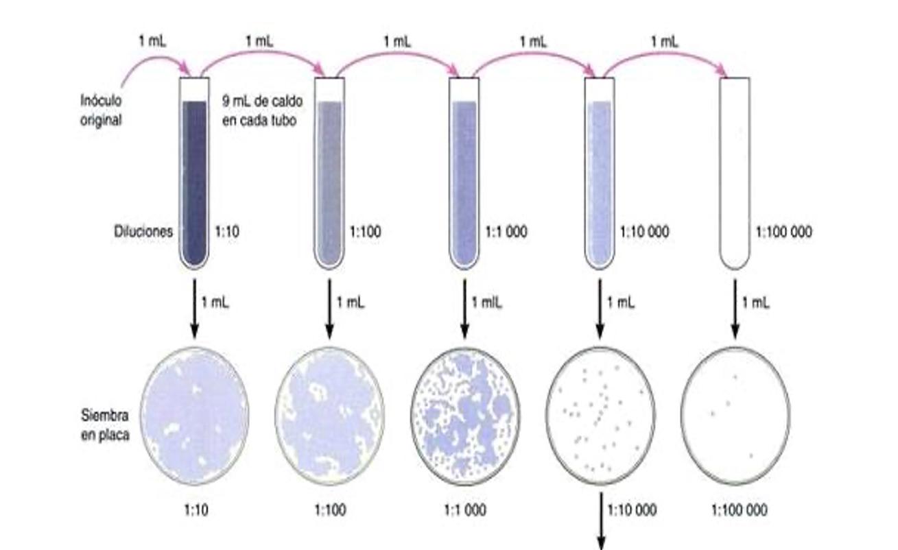 Solved With this picture answer the following What is | Chegg.com