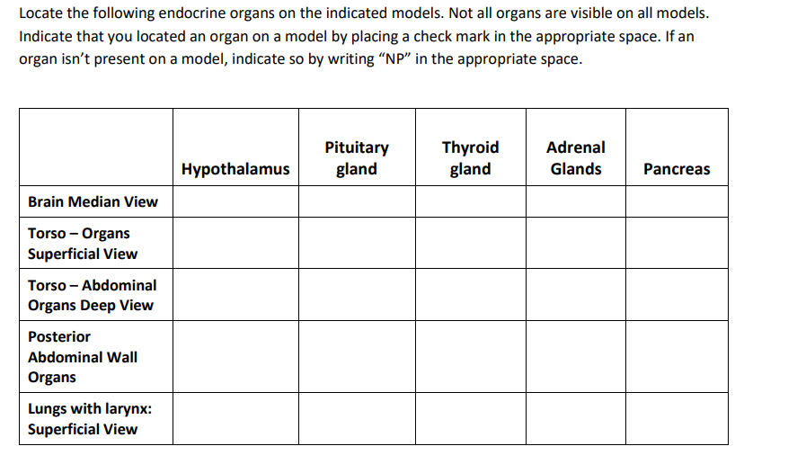 Solved Locate the following endocrine organs on the | Chegg.com Solved Locate the following endocrine organs on the | Chegg.com
