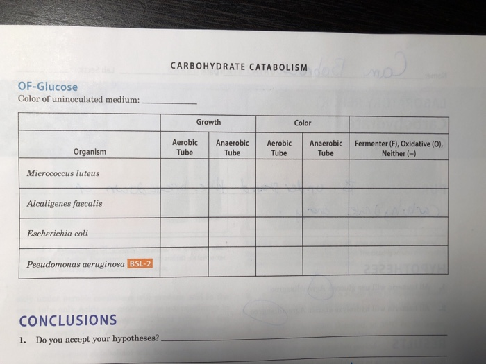 Solved CARBOHYDRATE CATABOLISM OF-Glucose Color of | Chegg.com
