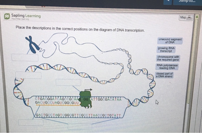 Solved: Juimp To... Sapling Learning Map Place The Descrip... | Chegg.com Solved: Juimp To... Sapling Learning Map Place The Descrip... | Chegg.com
