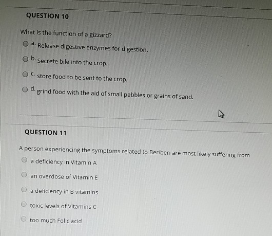 Solved QUESTION 10 What is the function of a gizzard? O a. | Chegg.com
