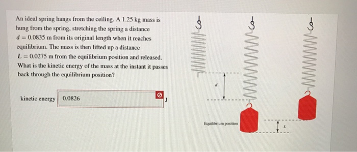 Solved An ideal spring hangs from the ceiling. A 1.25 kg | Chegg.com