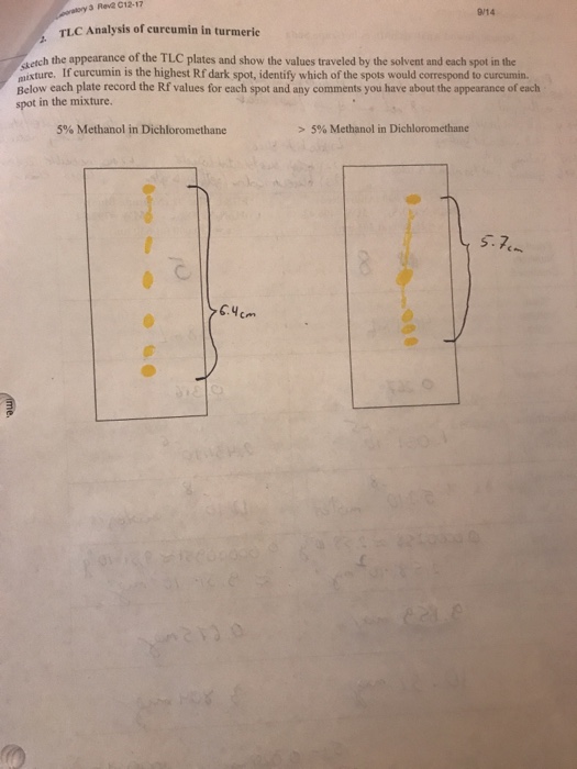 Solved 3 Rev2 C12-17 9/14 TLC Analysis of curcumin in | Chegg.com