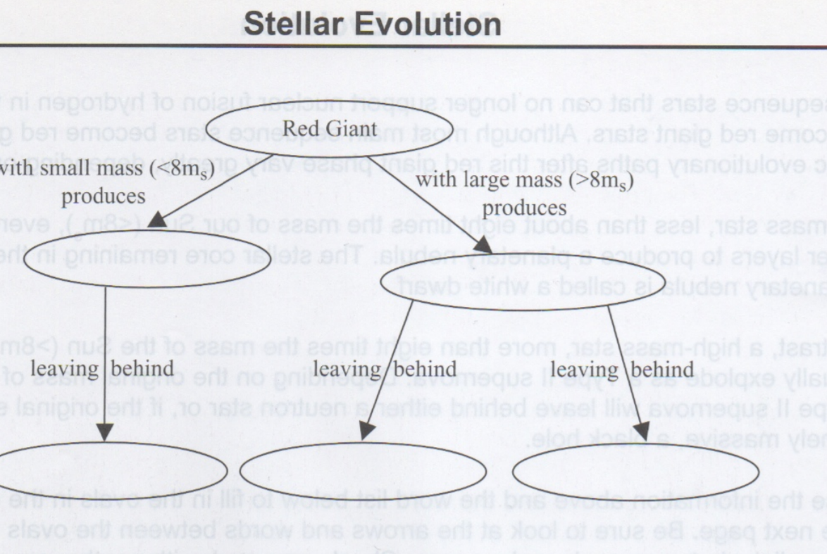 Solved Stellar Evolution ni nepobynd to none - gnol on so | Chegg.com