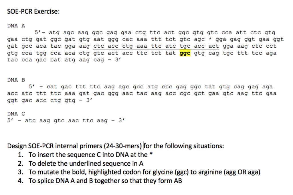 SOE-PCR Exercise: DNA A 5'- atg agc aag ggc gag gaa | Chegg.com