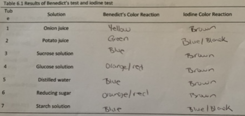 Solved Procedure 6.2 Perform the iodine test for starch 1. | Chegg.com
