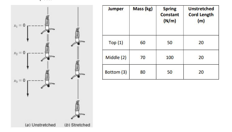 Question 2 Consider the bungee jumper problem as | Chegg.com