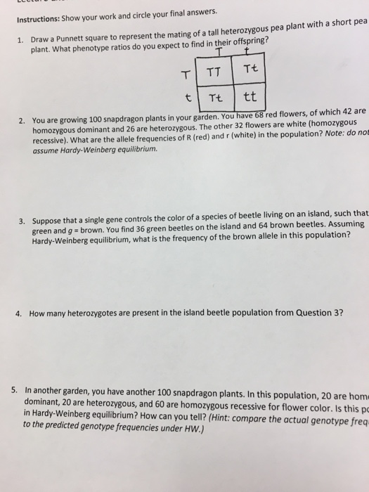 Solved Draw a Punnett square to represent the mating of a | Chegg.com