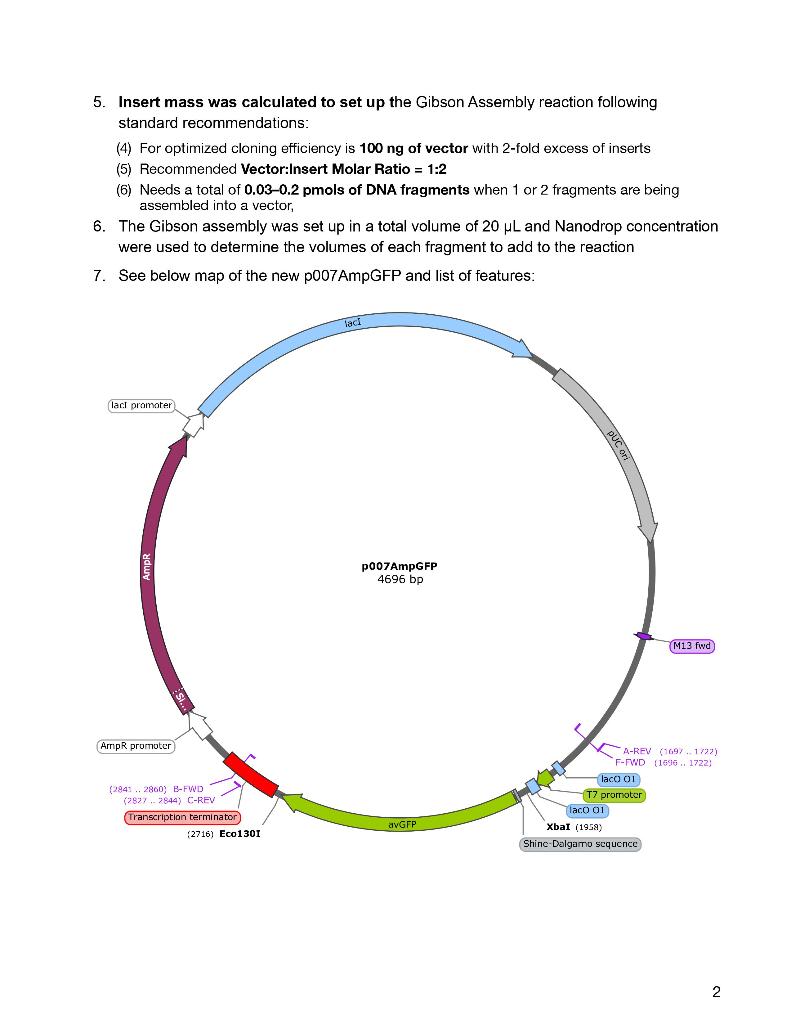 2p007AmpGFP Recombinant Plasmid made by Gibson | Chegg.com