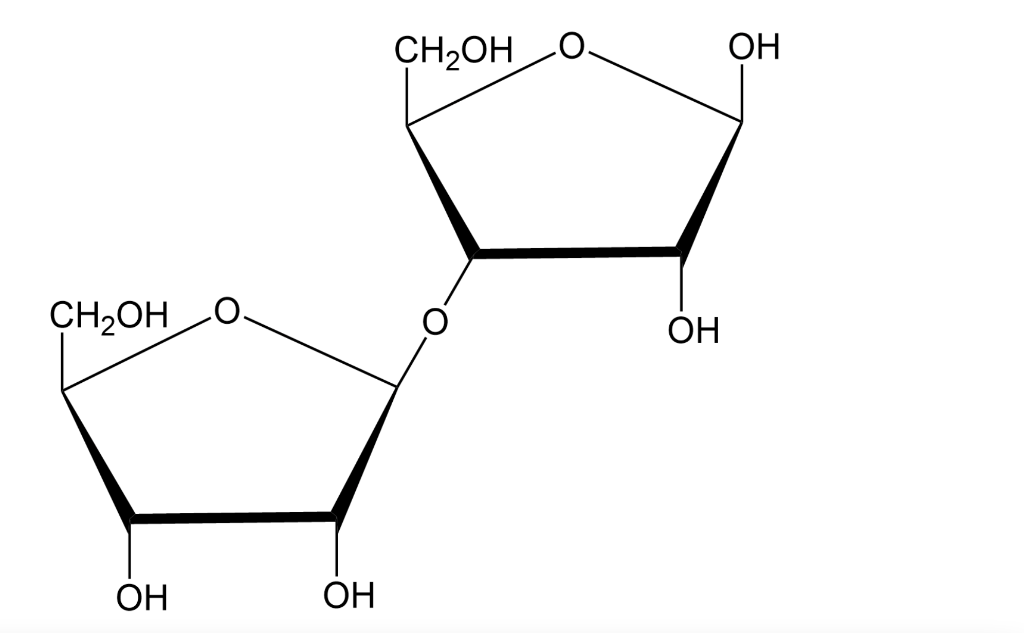 Solved In the diagram of a disaccharide, what is the form of | Chegg.com