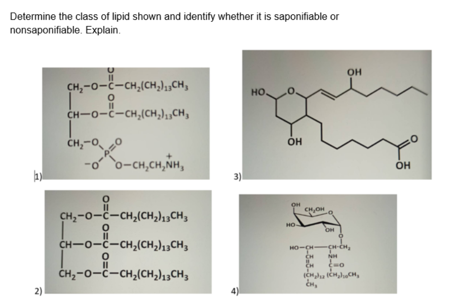 Solved Determine the class of lipid shown and identify | Chegg.com