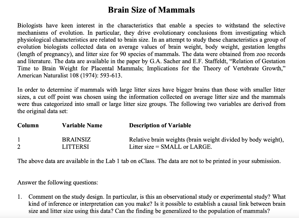 Solved Brain Size of Mammals Biologists have keen interest | Chegg.com