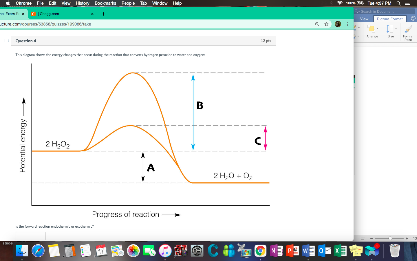 Solved This diagram shows the energy changes that occur | Chegg.com