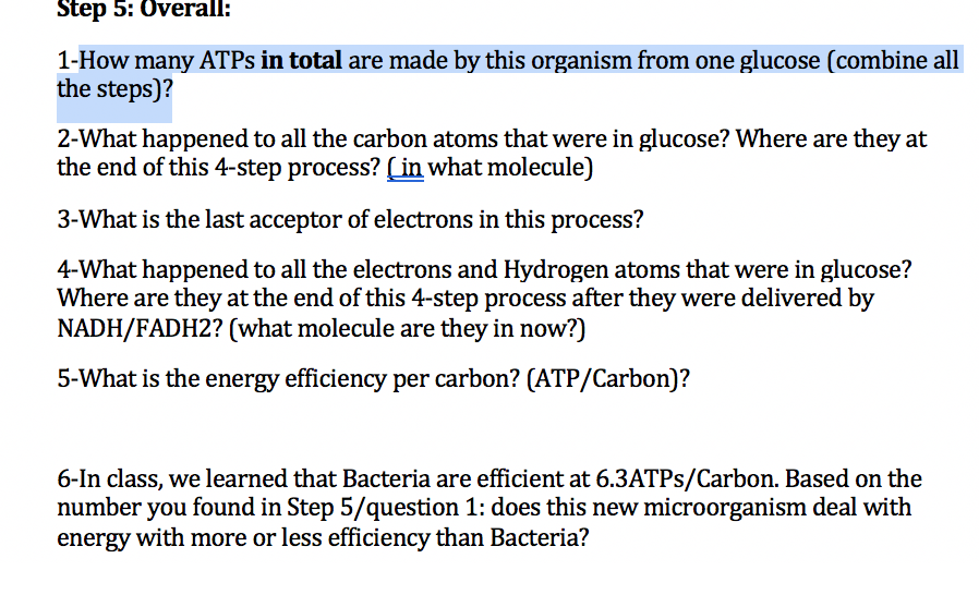 Step 5: Overall: 1-How many ATPs in total are made by | Chegg.com