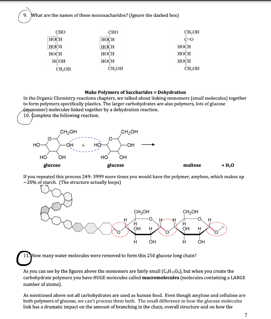 Solved Naming monosaccharides СН,ОН CHO O HO- -H HO -H The | Chegg.com