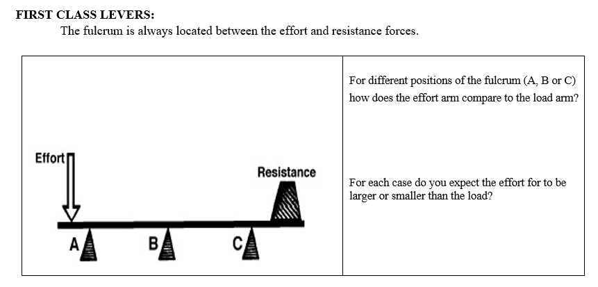 Solved The Fulcrum - is the fixed point of the lever, the | Chegg.com