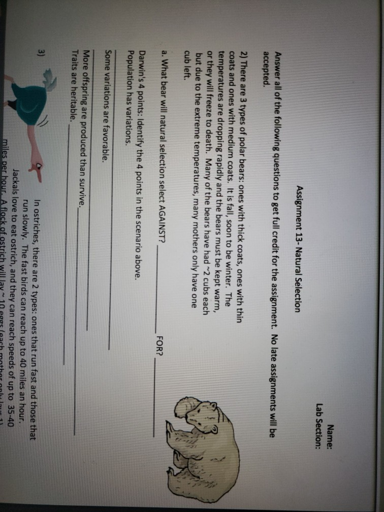 Solved Name: Lab Section: Assignment 13- Natural Selection | Chegg.com