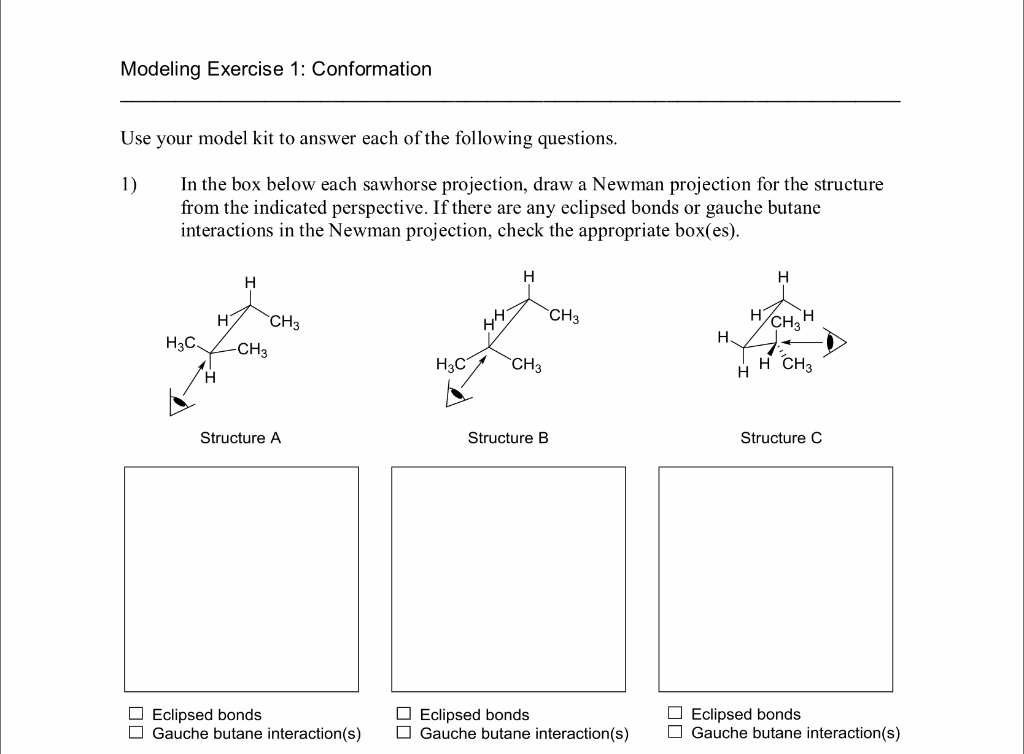 Solved Modeling Exercise 1: Conformation Use your model kit | Chegg.com