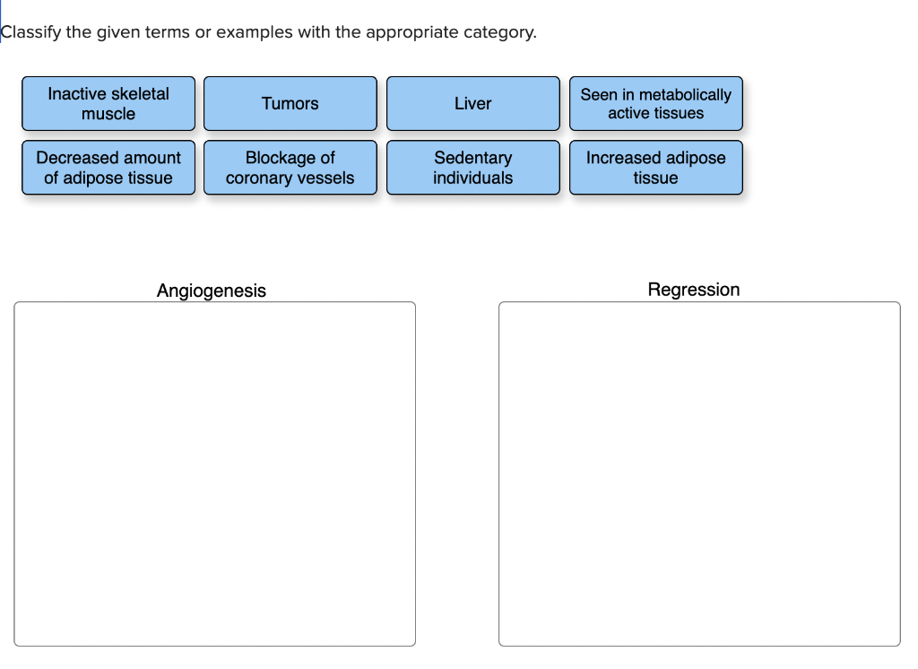Solved Classify The Given Terms Or Examples With The 4594