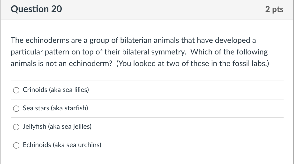 Solved The echinoderms are a group of bilaterian animals | Chegg.com