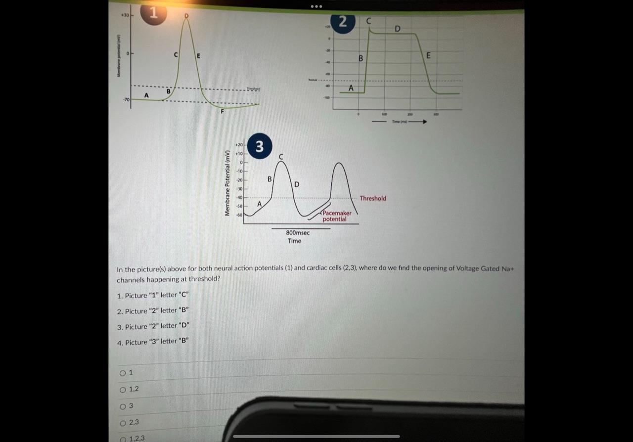 In the picture(s) above for both neural action | Chegg.com