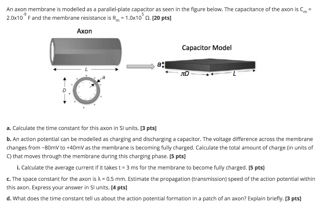 An axon membrane is modelled as a parallel-plate | Chegg.com