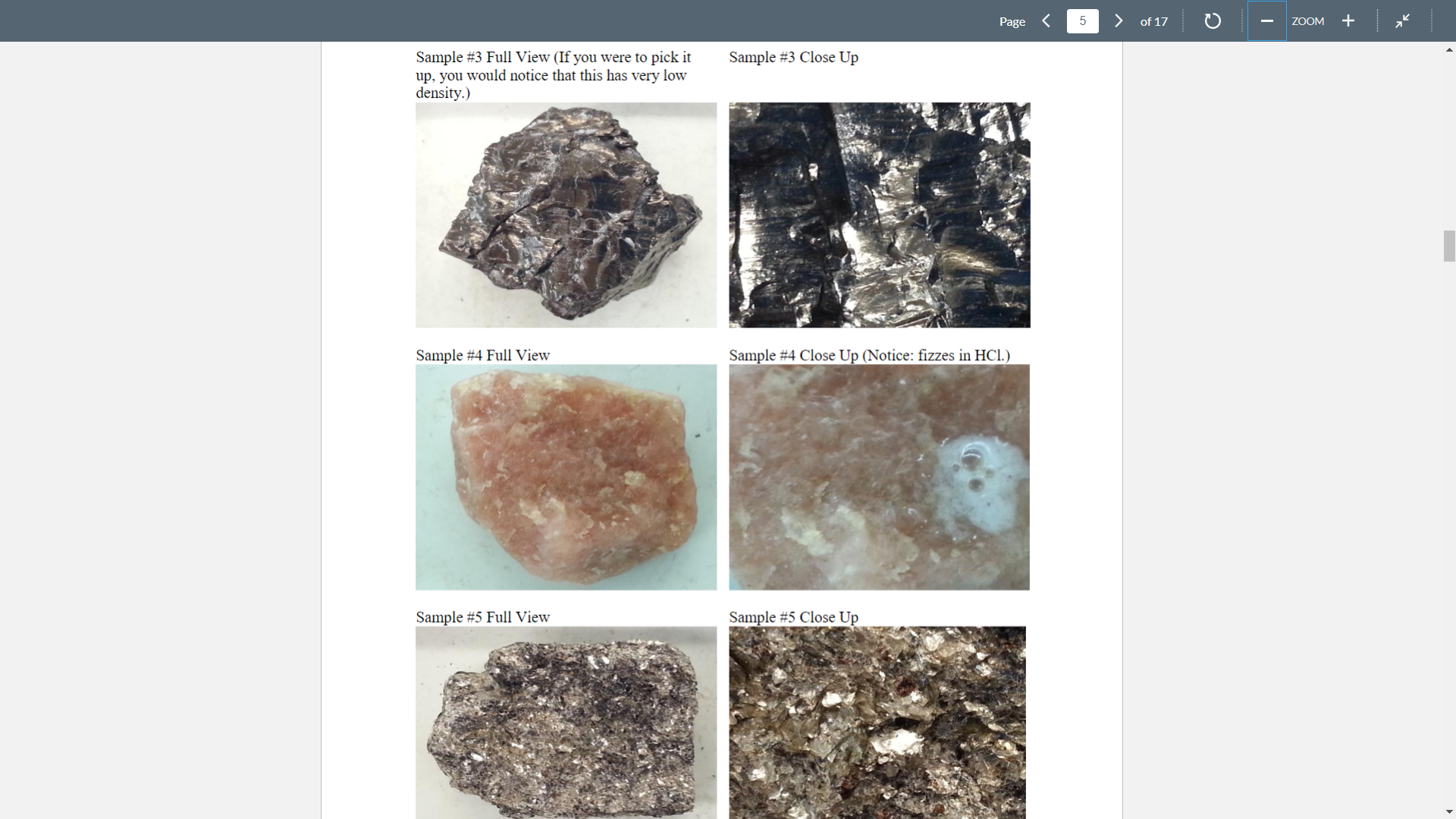 Solved shale. Gneiss actually has two protoliths, as seen in | Chegg.com