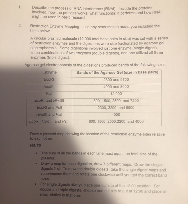 Solved 1. 2. Describe the process of RNA interference | Chegg.com