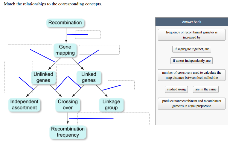 Solved Match the relationships to the corresponding | Chegg.com