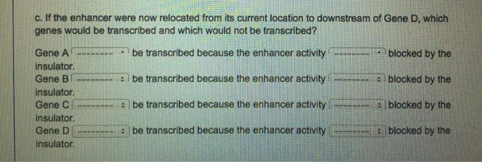 Solved An enhancer and insulator are located in the vicinity | Chegg.com