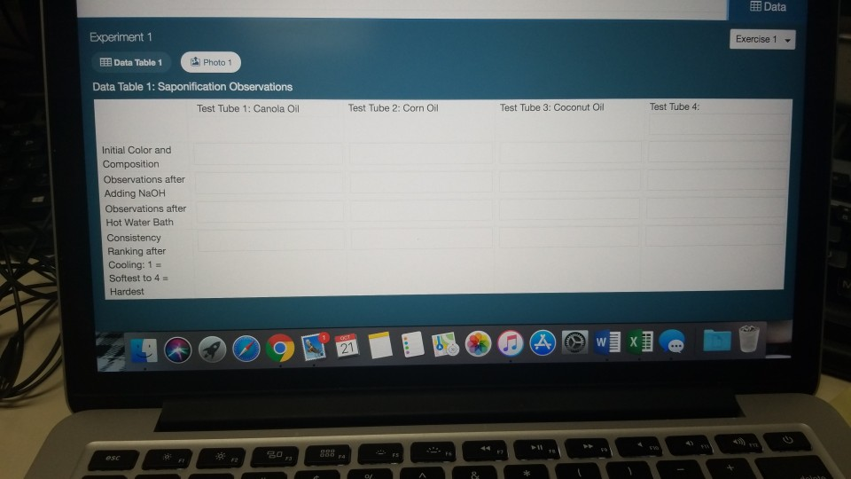 El Data Exercise 1 EEE Data Table 1 Photo 1 Data | Chegg.com