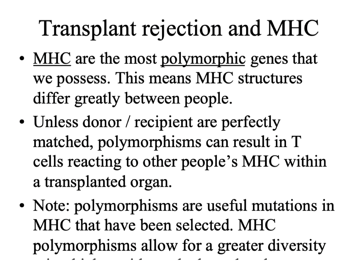 Solved Transplant rejection and MHC - MHC are the most | Chegg.com