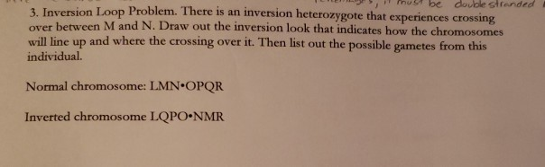 Solved 3. Inversion Loop Problem. There is an inversion | Chegg.com