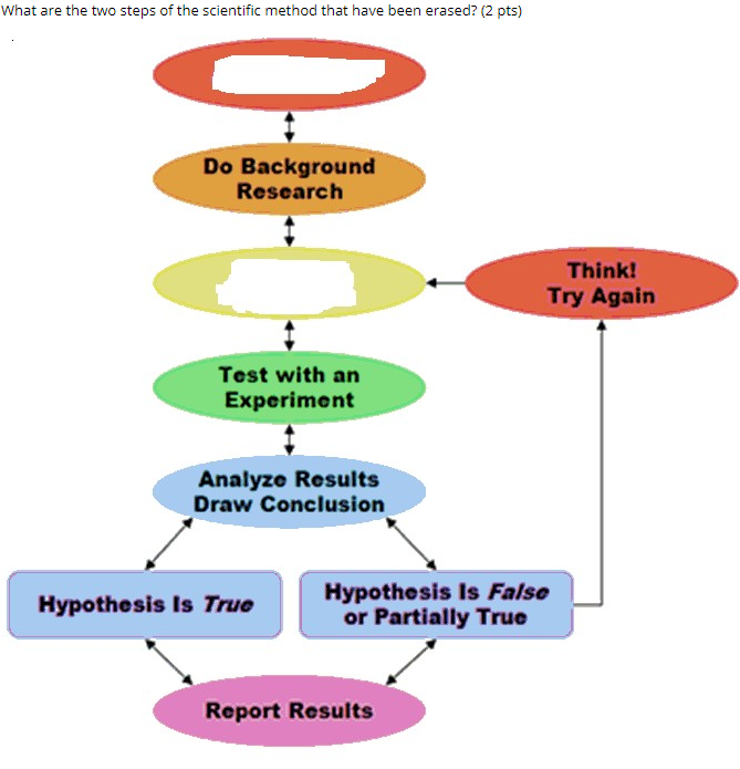 Solved A) Which of the following profiles is a typical | Chegg.com