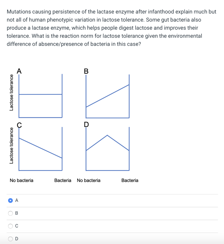 Solved Mutations causing persistence of the lactase enzyme | Chegg.com