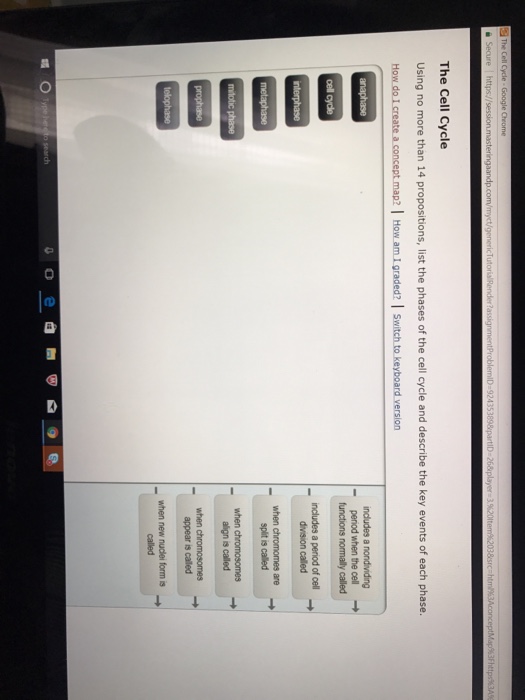 Solved Using no more than 14 propositions, list the phases | Chegg.com