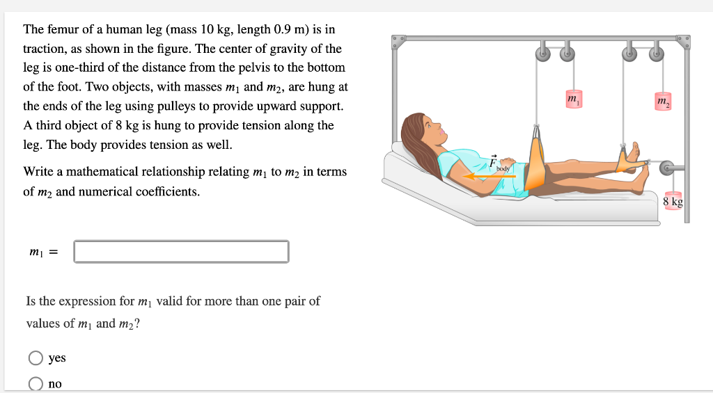 Solved The femur of a human leg (mass 10 kg, length 0.9 m) | Chegg.com