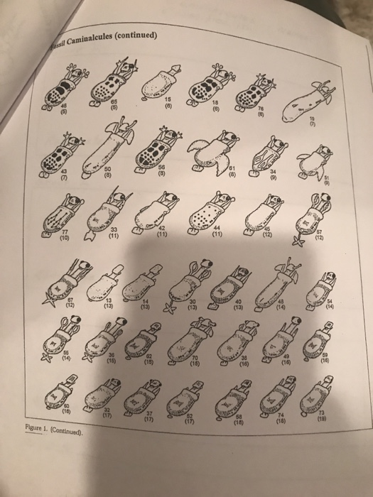 Solved Caminalcule Procedure Print the Caminalcule file and | Chegg.com