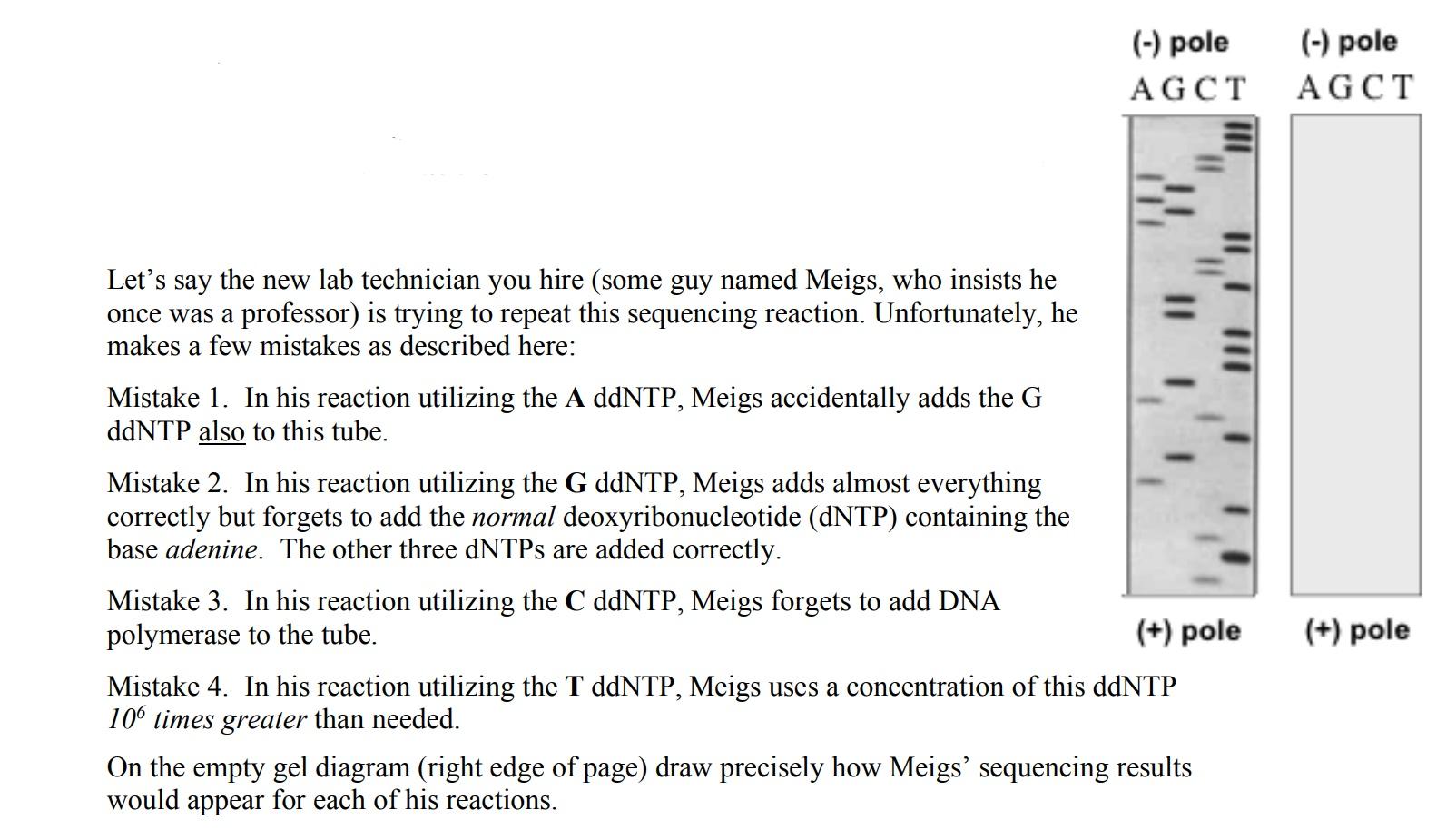 Solved (-) pole (-) pole AGCT AGCT Let's say the new lab | Chegg.com