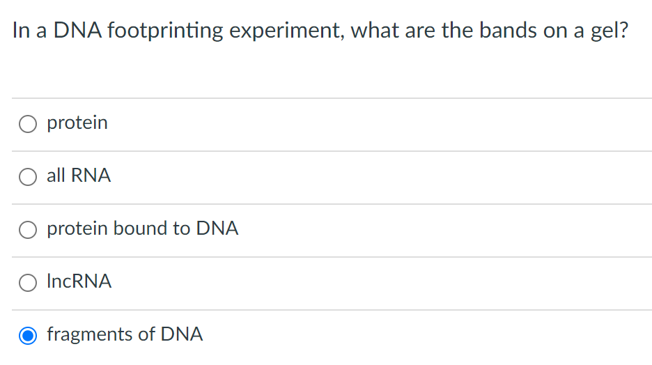 Solved In a DNA footprinting experiment, what are the bands | Chegg.com